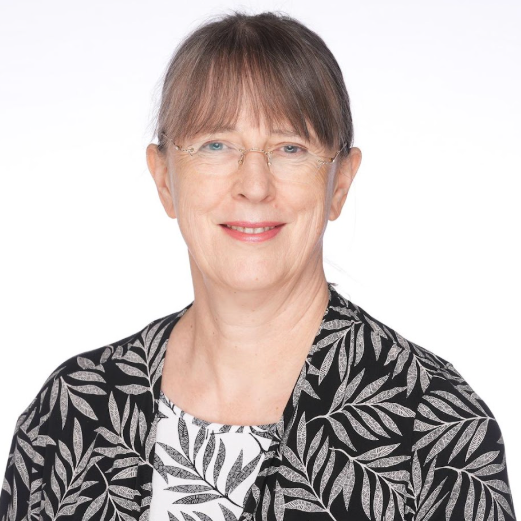 Vulnerability Enumeration Conundrum An Open Source Perspective On Cve And Cwe Open Source